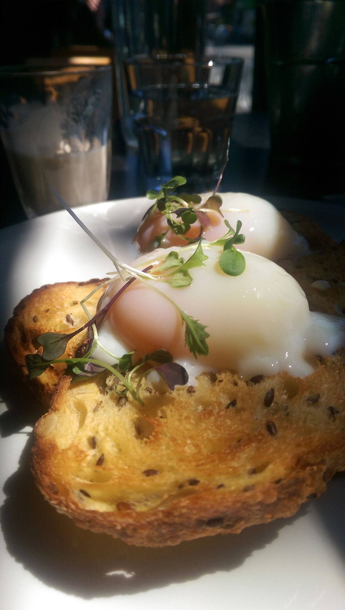 Taste Series Manifesto